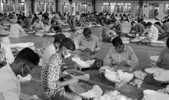 Nasir Group of Insustries